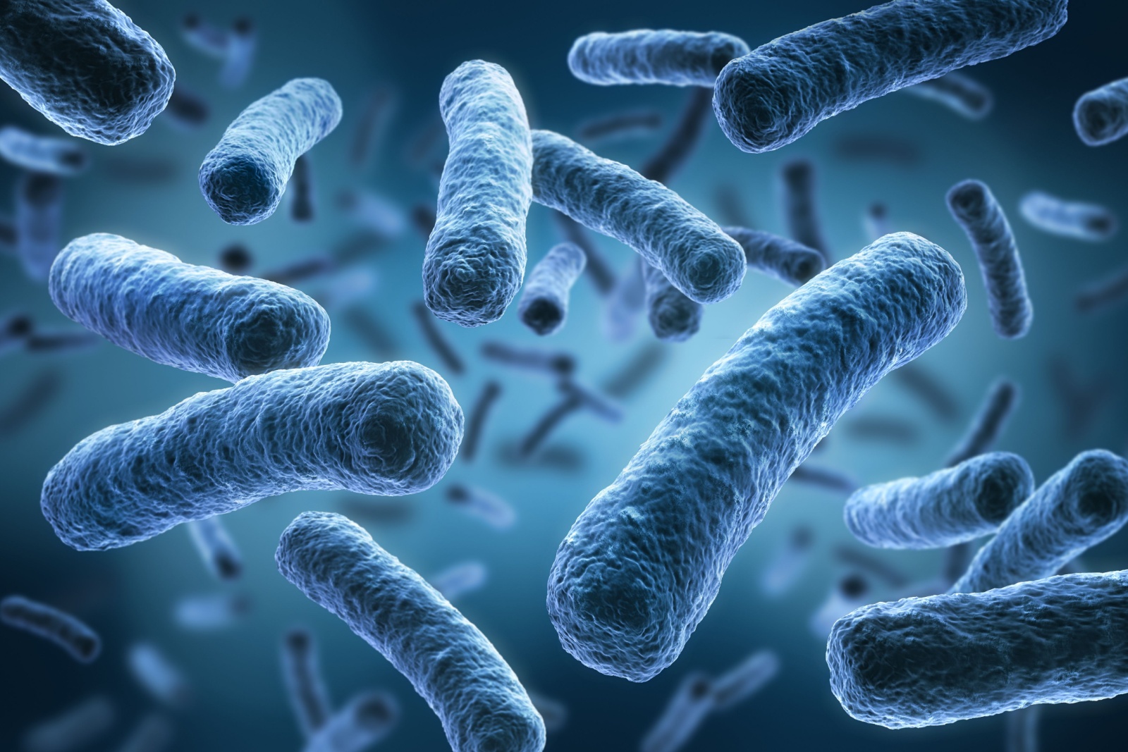 Navarro Pecan Salmonella Injury and Wrongful Death Lawsuit Lawyers