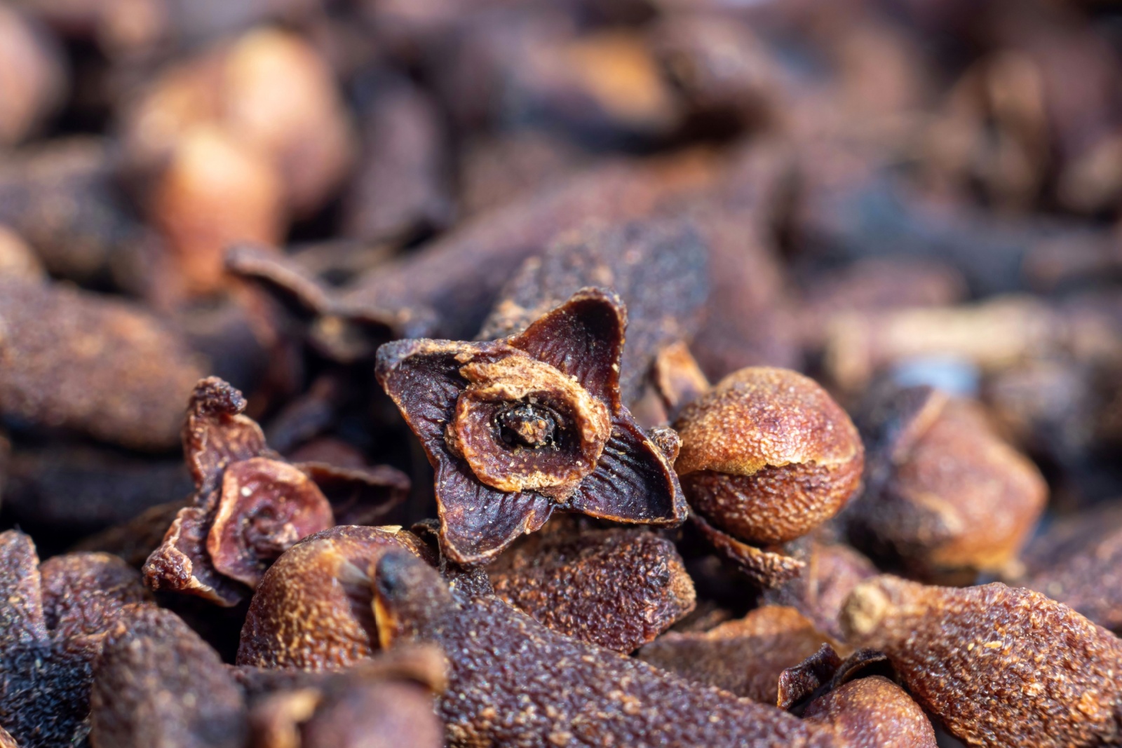 PT Natural Java Spice Clove Cesium-137 Injury & Cancer Lawsuit Lawyers